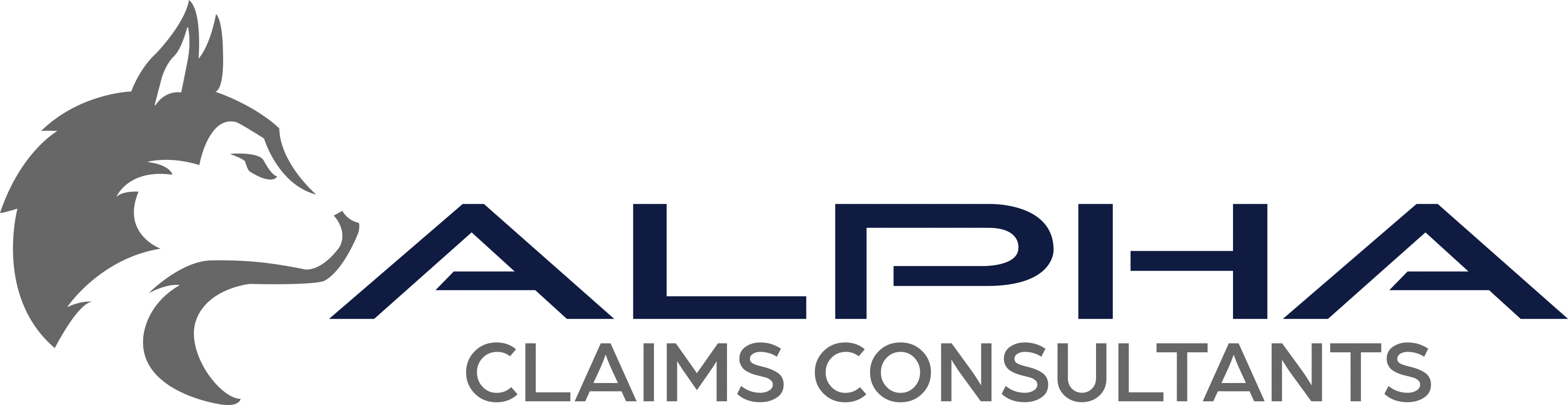 Intake | Alpha Claims Consultants